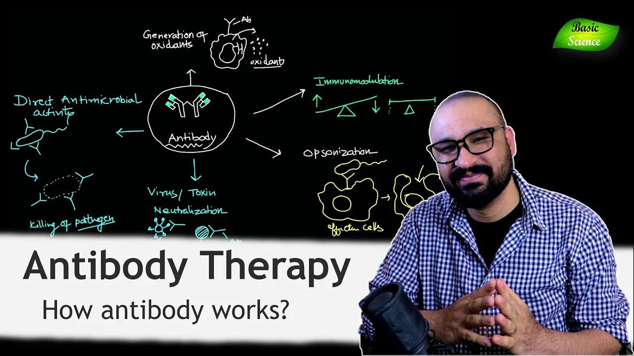 Antibody Therapy | Passive Immunotherapy | Immunity | Immune System ...