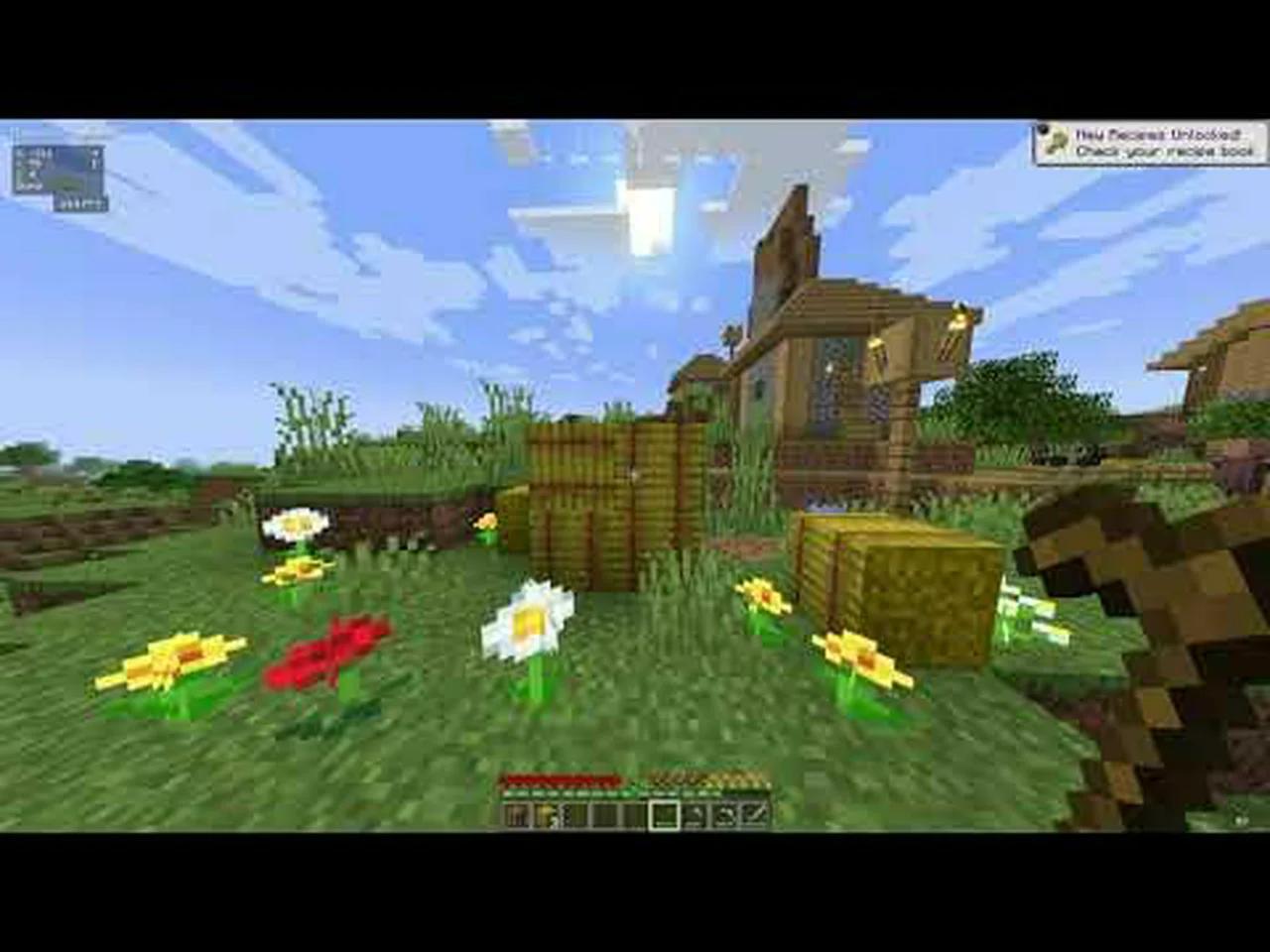 minecraft HARDCORE part 1