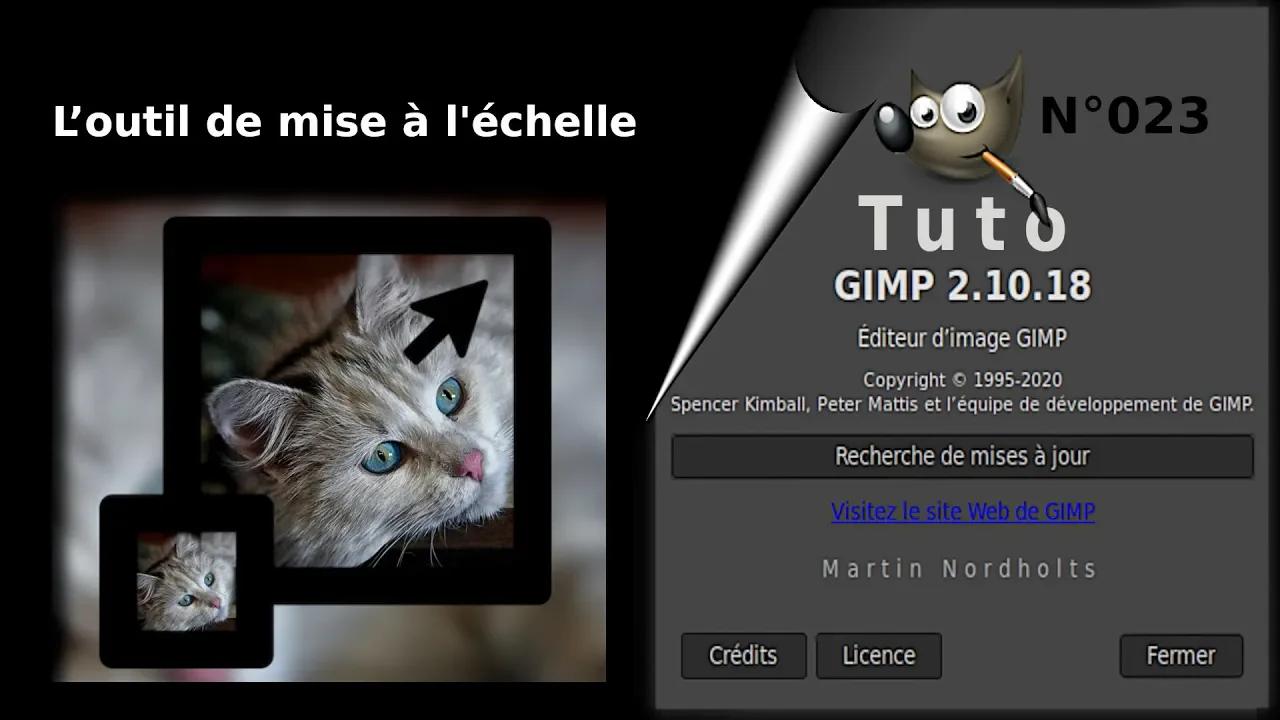 Tuto Gimp 2 10 20 pour débutant 023 L’outil de mise à l’échelle