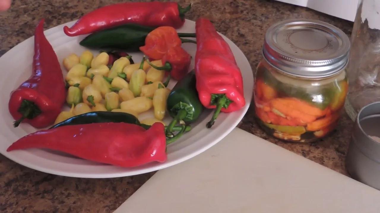 Kitchen Flashback : fermenting my second jar of homegrown peppers