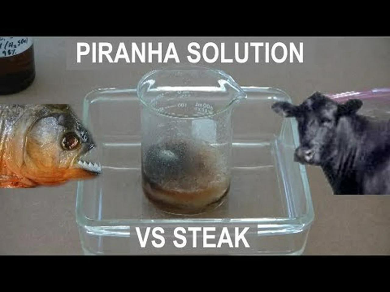 Piranha Solution vs Steak - ElementalMaker