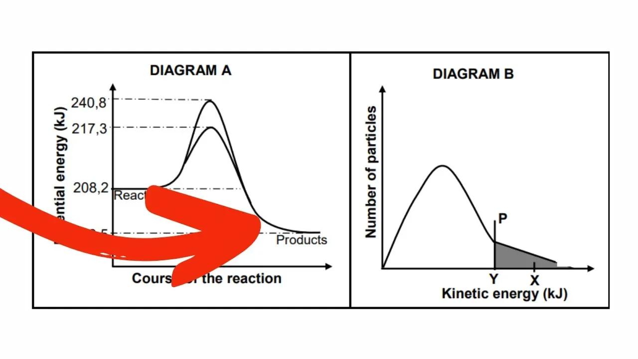RATE OF REACTIONS GRADE 12 CHEMISTRY MAY/JUNE 2024