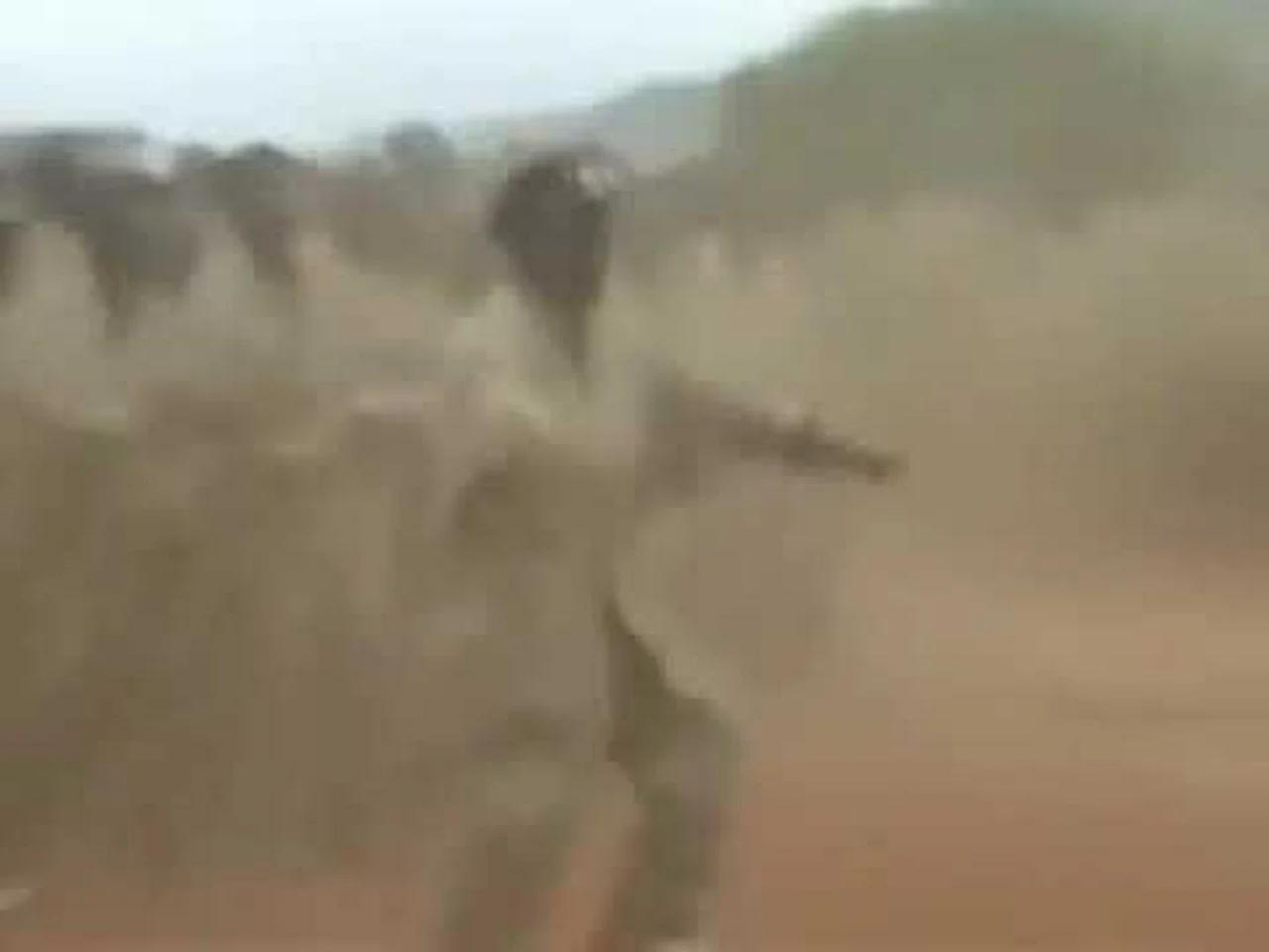 THE BEST MOKHUKHU - ZCC MORIA