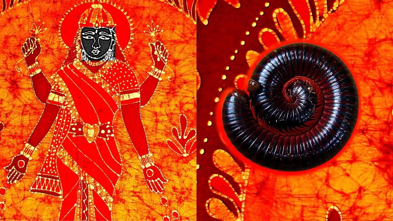 YOU ARE BOTH GOD & WORM