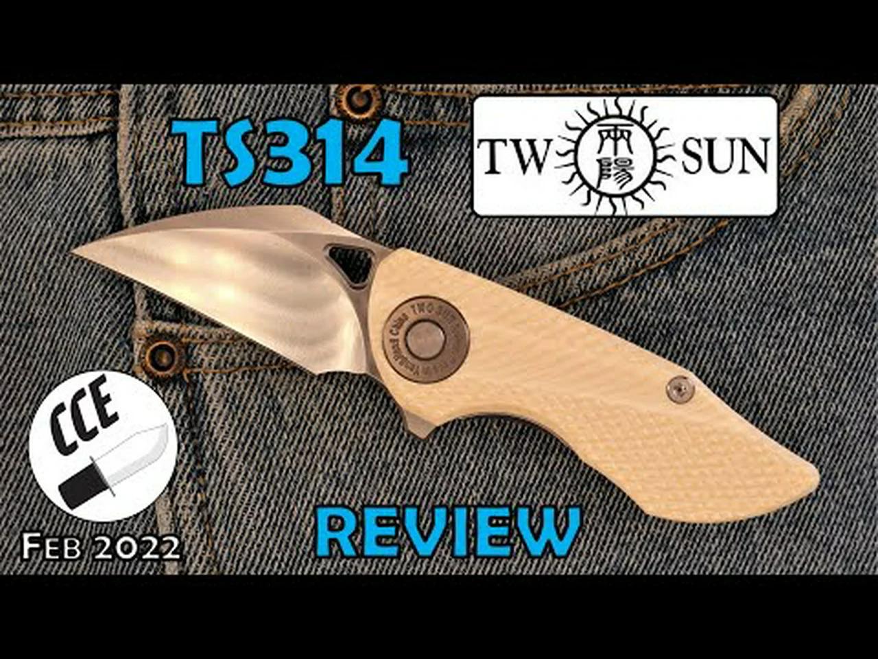 REVIEW of the TwoSun TS317 - a Wee Wednesday Special