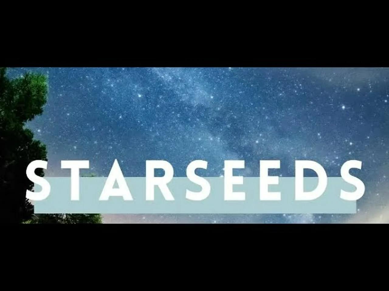The Ultimate Guide for Starseeds: 7 Million Lights Await You