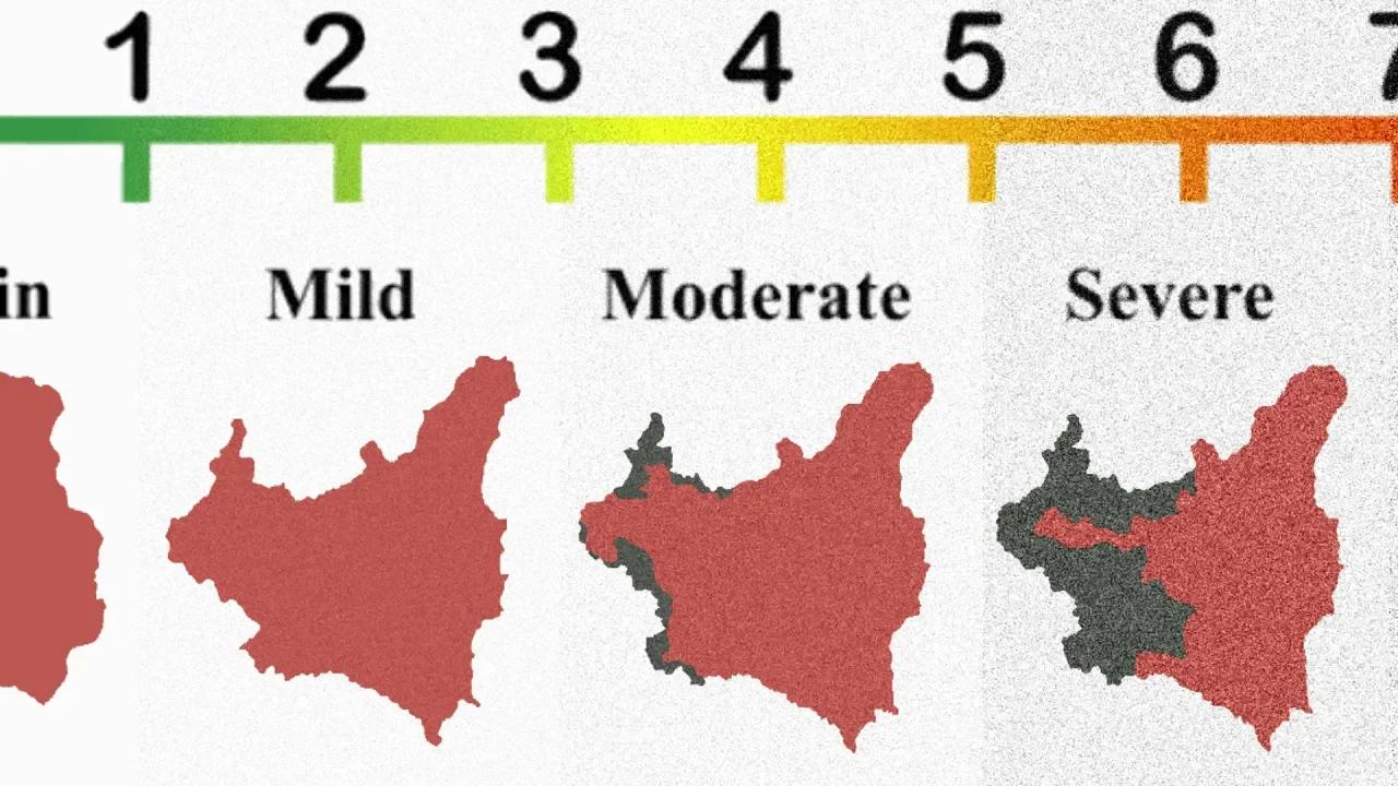 pain scale meme - Poland