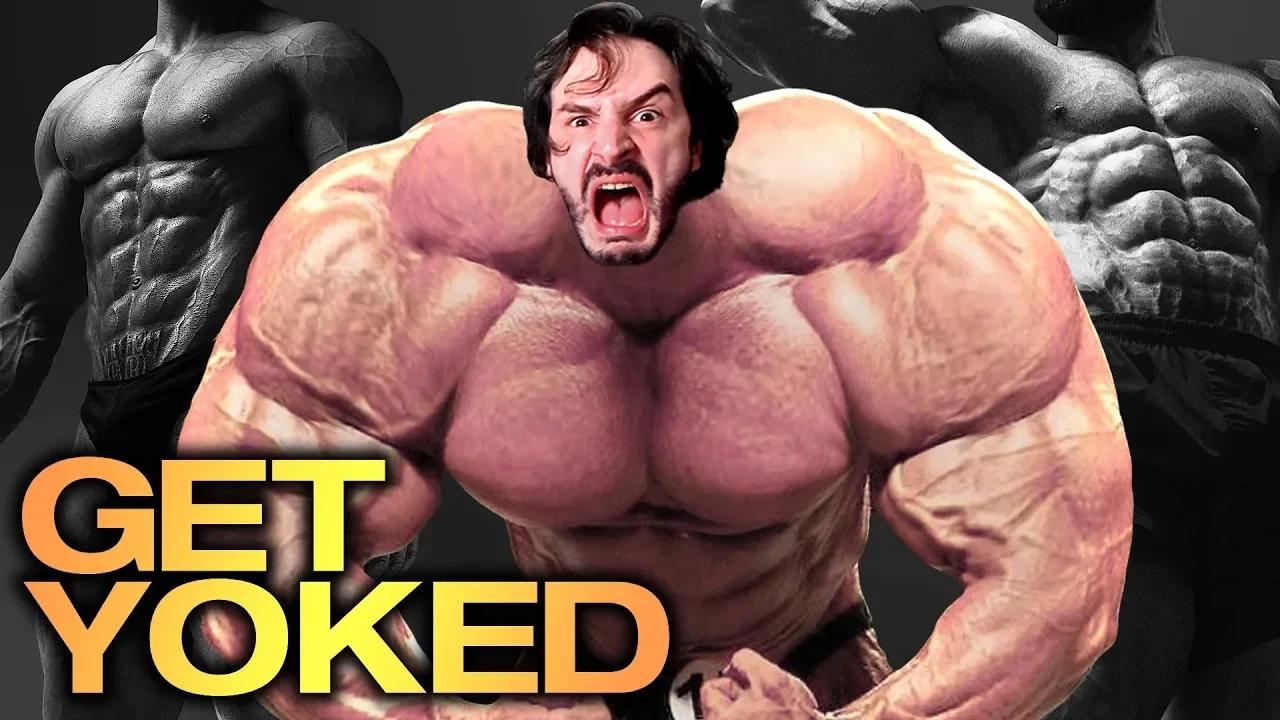 PLUS DE MUSCLES !! TOUJOURS PLUS !! -GET YOKED- [BODYBUILDER]