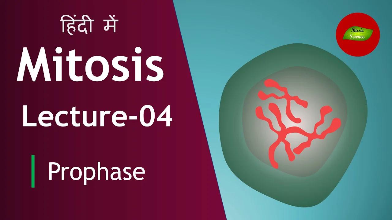 Mitosis Lecture-04 | Prophase Hindi | Mitosis | Cell Division | Cell ...