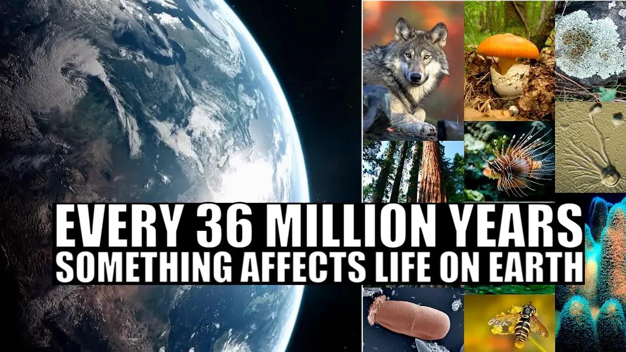 Evidence For a 36 Million Year Long Cycle Affecting Biodiversity