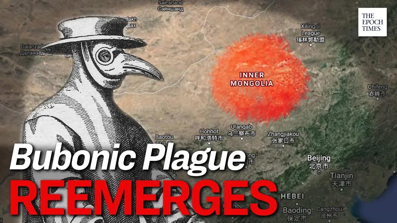 1 Death, 35 Quarantines Caused by Bubonic Plague in Inner Mongolia ...