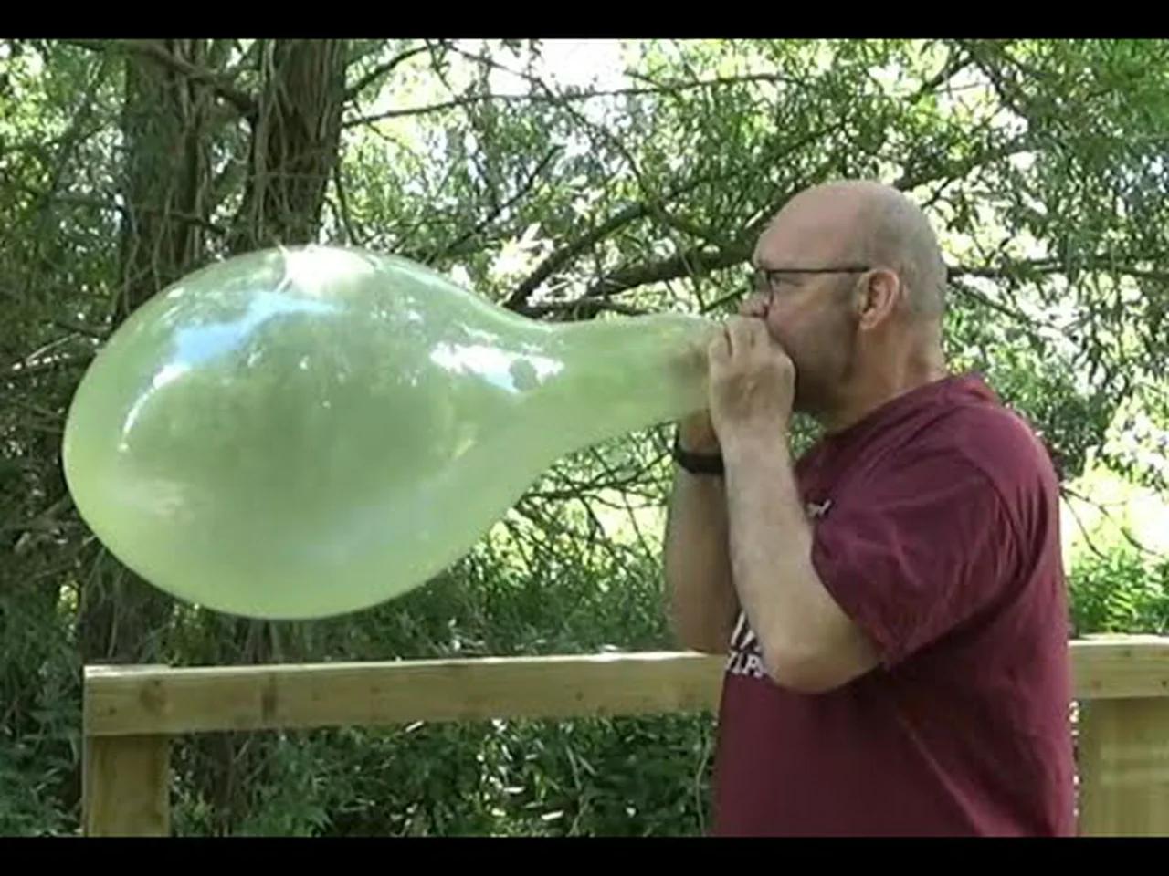 Balloon Pop outdoor public bursting 36 inch btp Tangobaldy™