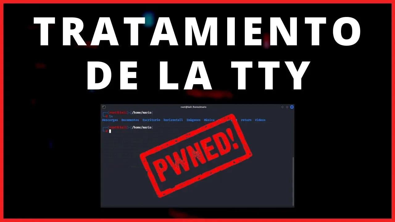 🟡 Cómo Hacer Tratamiento de la TTY para Conseguir SHELL Totalmente Interactiva 🐧