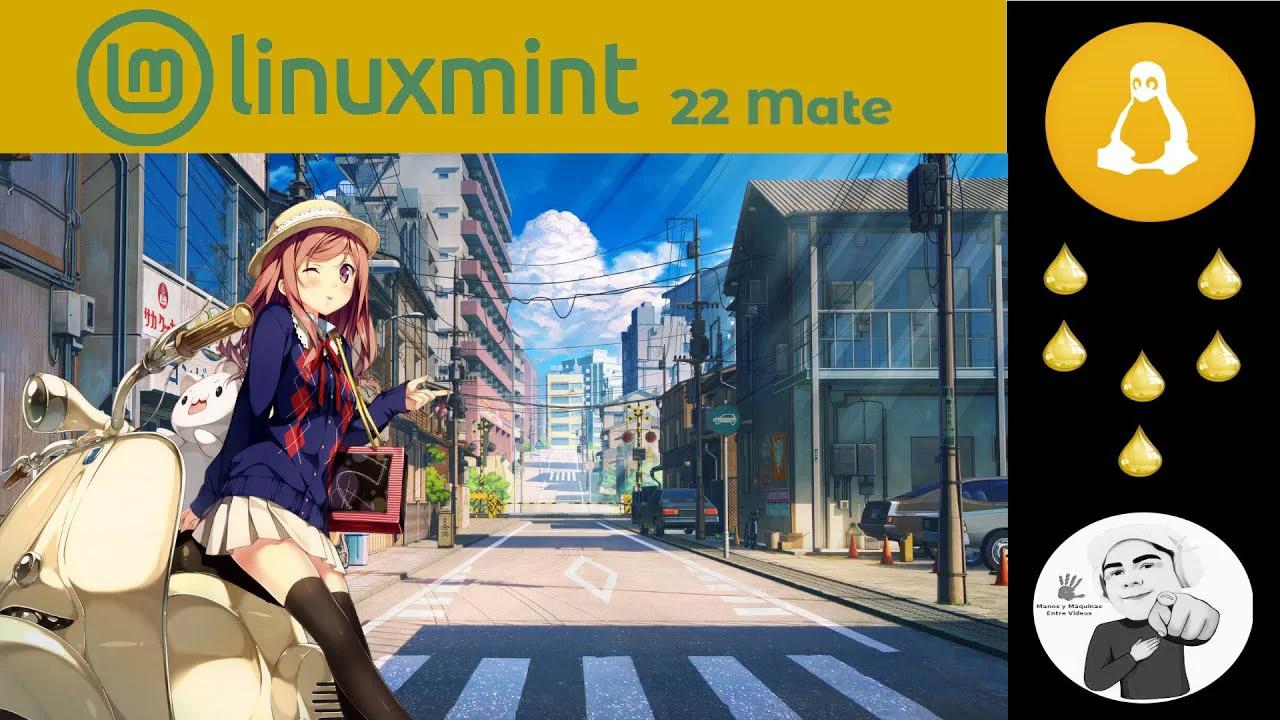 Linux Mint 22 XFCE WIlma Mate | Linux Mint y su base ligera van sobre ...