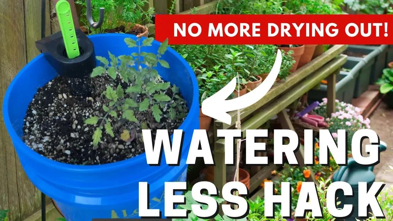 Self Watering Five Gallon Bucket. Perfect For Large Produce & Heavy ...