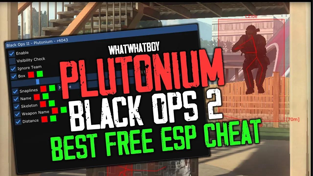 Plutonium BO2 Wallhacks/ESP Cheat - Undetected & Free Download