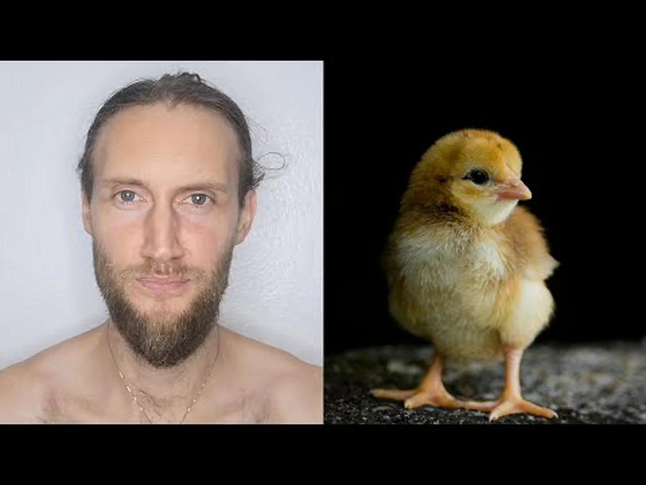 MIND-BLOWING | Baby Chick Experiment | You Aren't What You Think You Are!