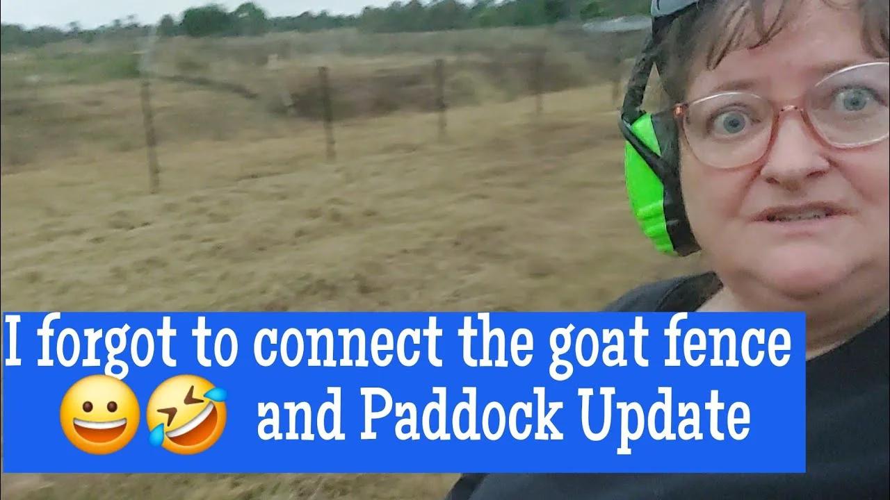 Goats & Paddocks Update