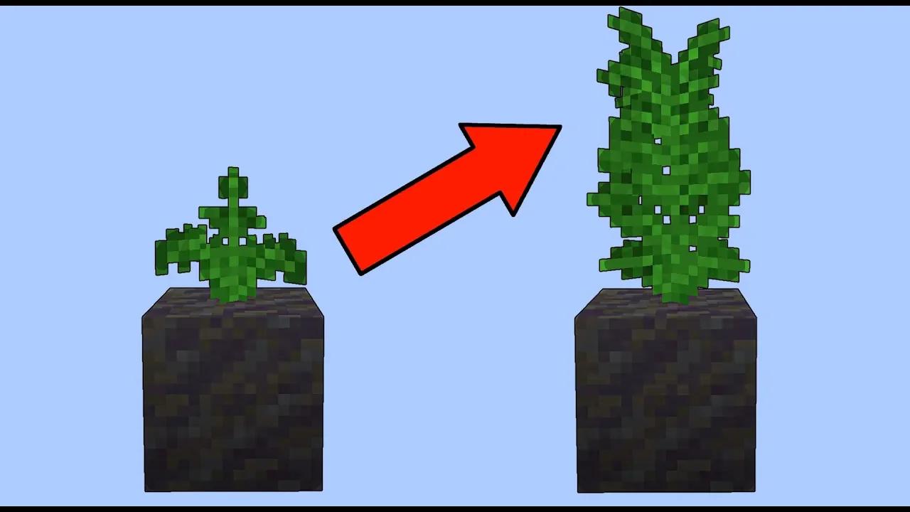 Mud = NEW Fern Farm 1.19 Minecraft (10,000 fern/hr) + TUTORIAL