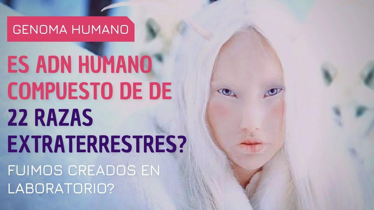 22 Razas Extraterrestres Formando el Ser Humano? - Aneeka de Temmer Responde