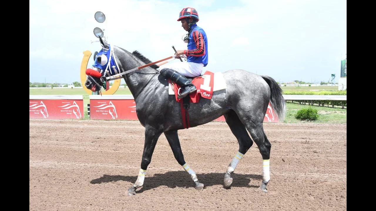Anthony Thomas Pilots Daddy Jones To Win The Caymanas (Sun, April 9 ...