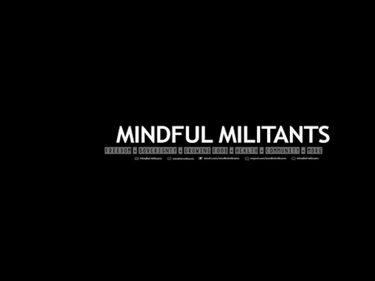 Building Freedom Cells & Mutual Aid Networks with Mindful Militants