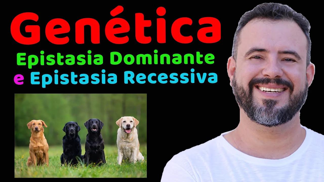 GENÉTICA | Epistasia | Prof. Daniel Fernandes #enem #genetica #biologia