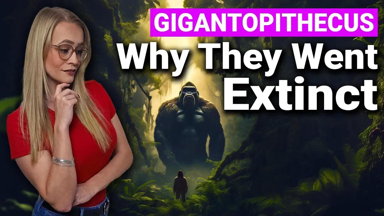 Why The Largest Ape Ever Went Extinct! | Gigantopithecus Blacki