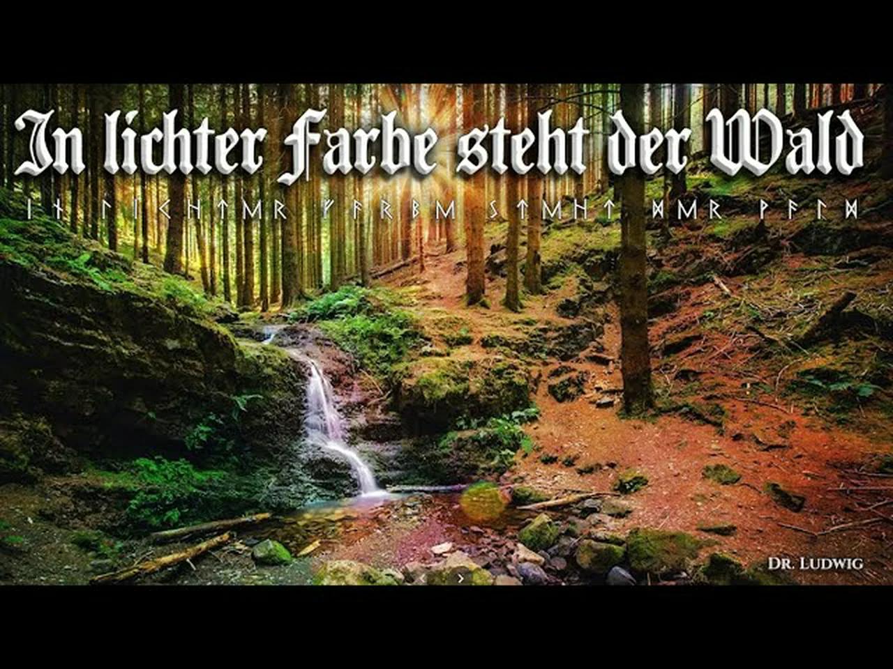 In lichter Farbe steht der Wald [Medieval German song][+English ...