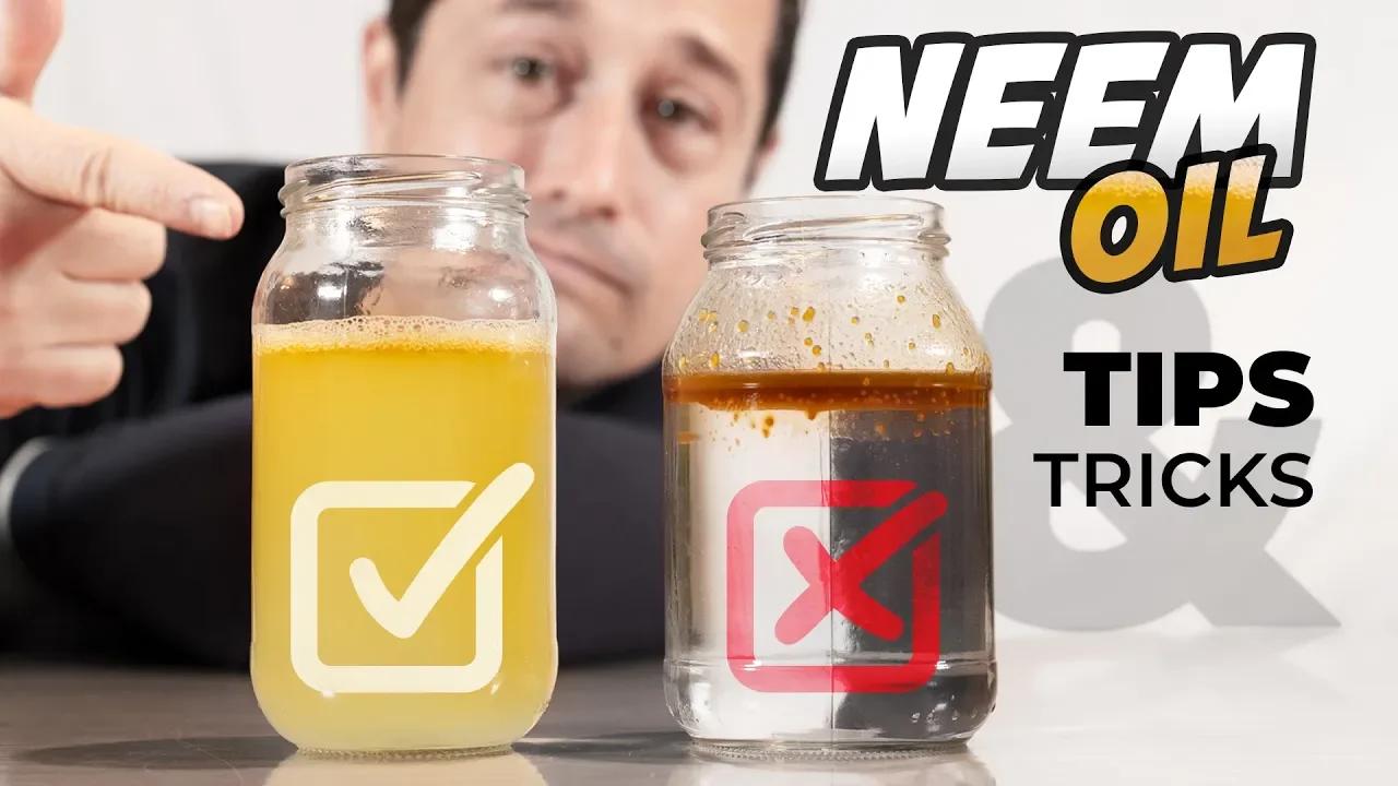 How to Apply Neem Oil for Plants - Application Tips and Ticks | Organic ...