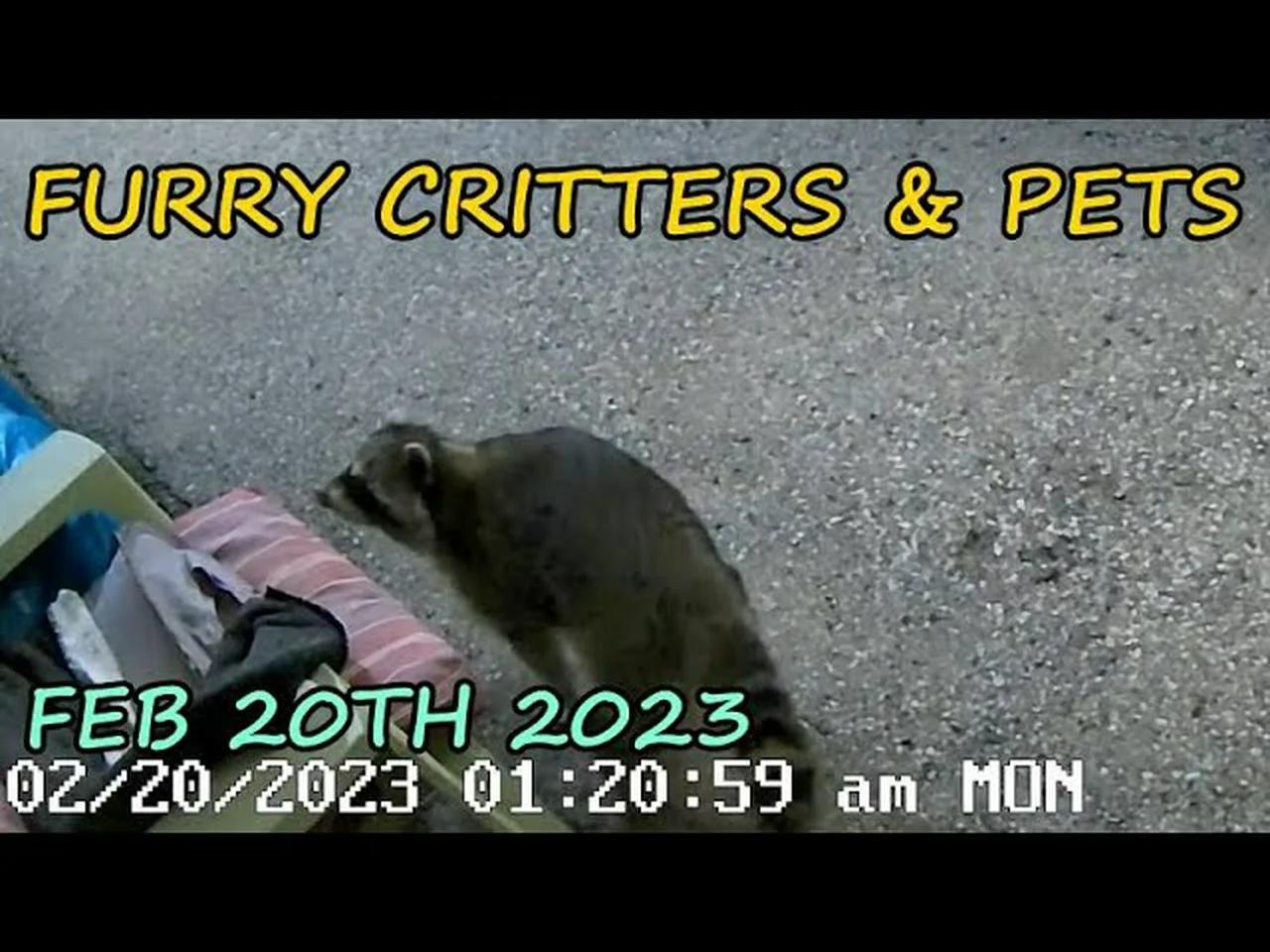 Furry Critters & Pets Feb 20th 2023