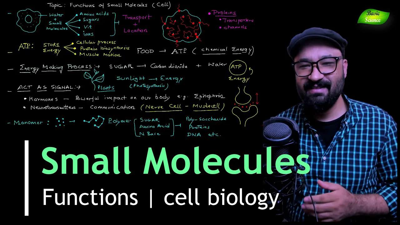 Functions of Small Molecule | Cell biology | Amino acid | Sugar | ATP ...