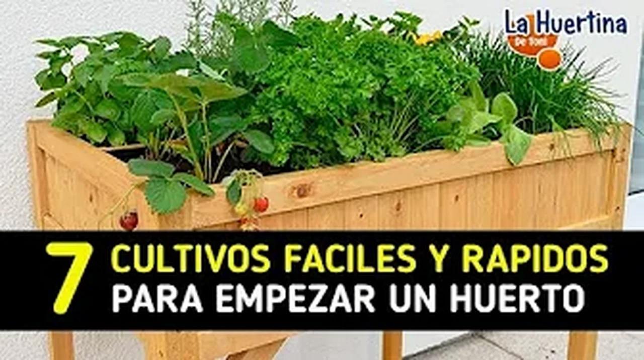 7 Cultivos Rápidos Para Empezar Un Huerto Urbano En 60 Días || La ...
