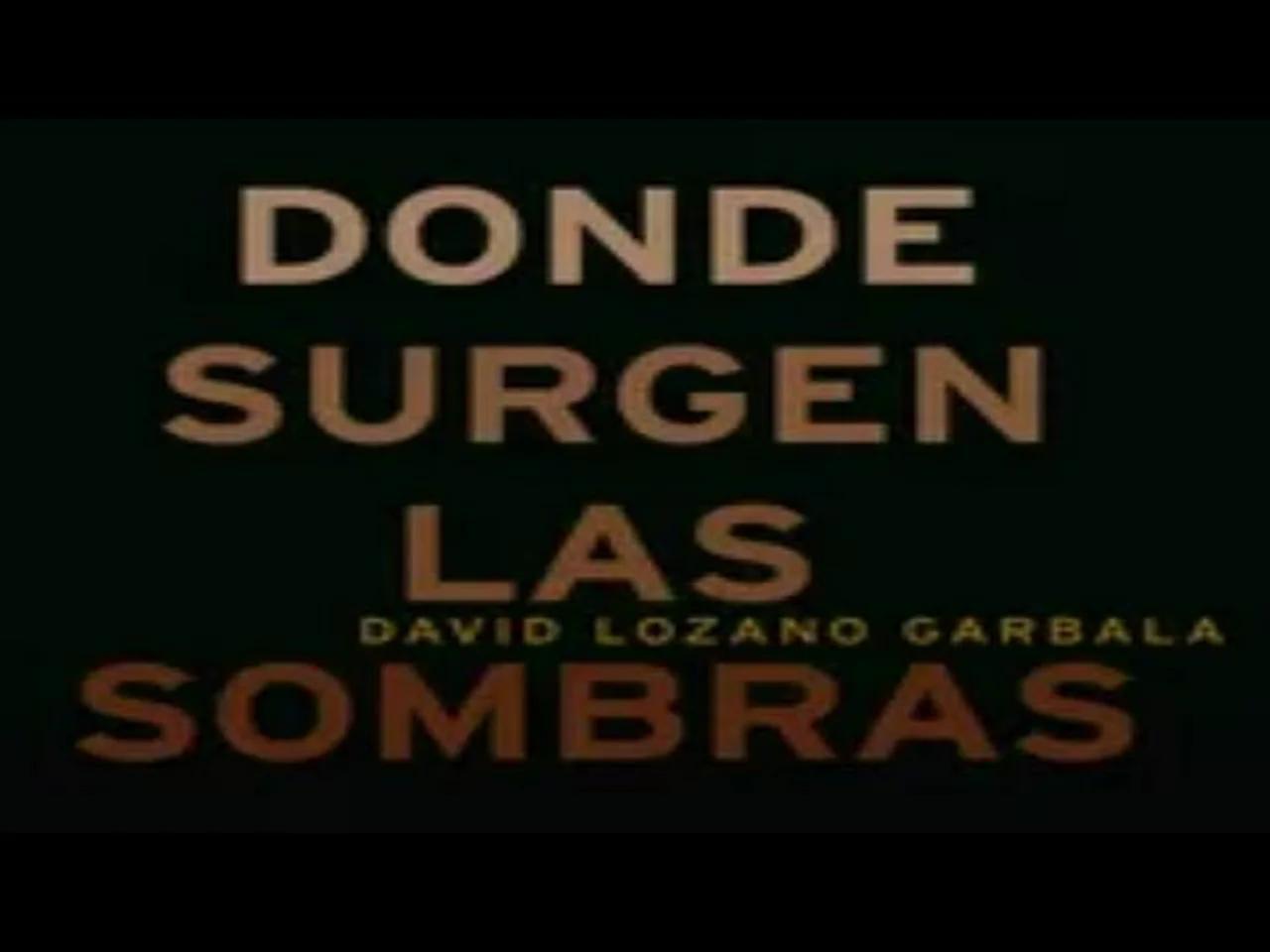 Resumen del libro Donde surgen las sombras (David Lozano Garbala)