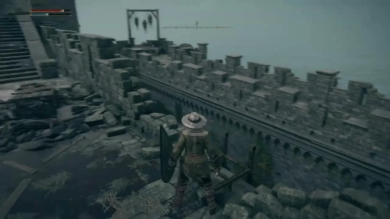 Elden Ring | Castle Morne Playthrough and Leonine Misbegotten Boss ...