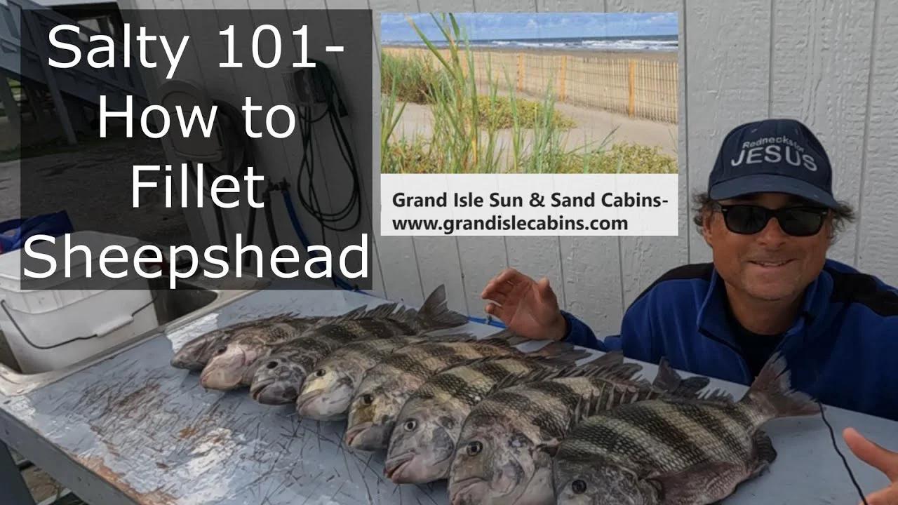 Salty 101- How to Fillet Sheepshead