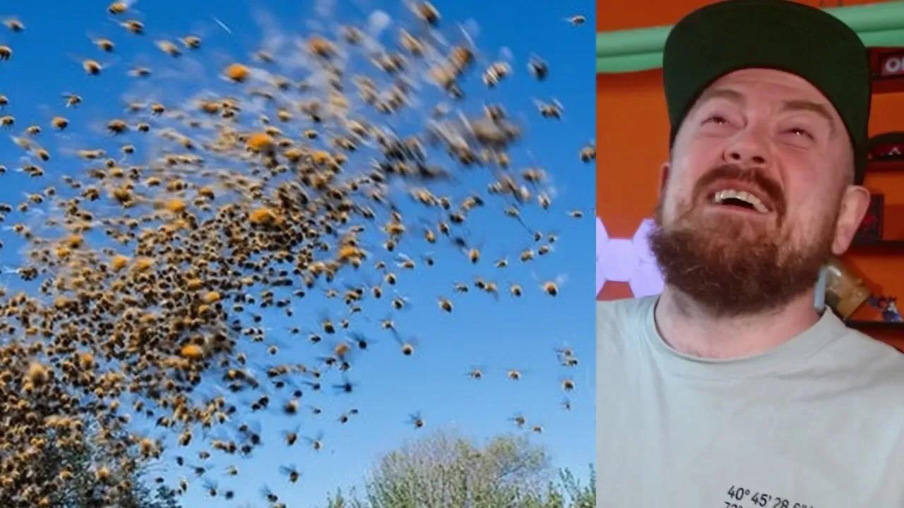 A Truck Crash Just Released 250 Million Bees