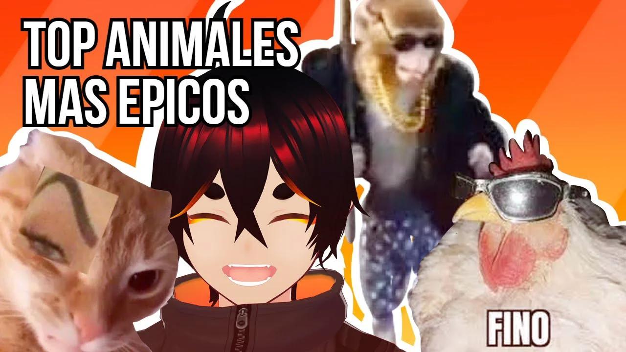 💥TOP ANIMALES MAS EPICOS DEL MUNDO💥