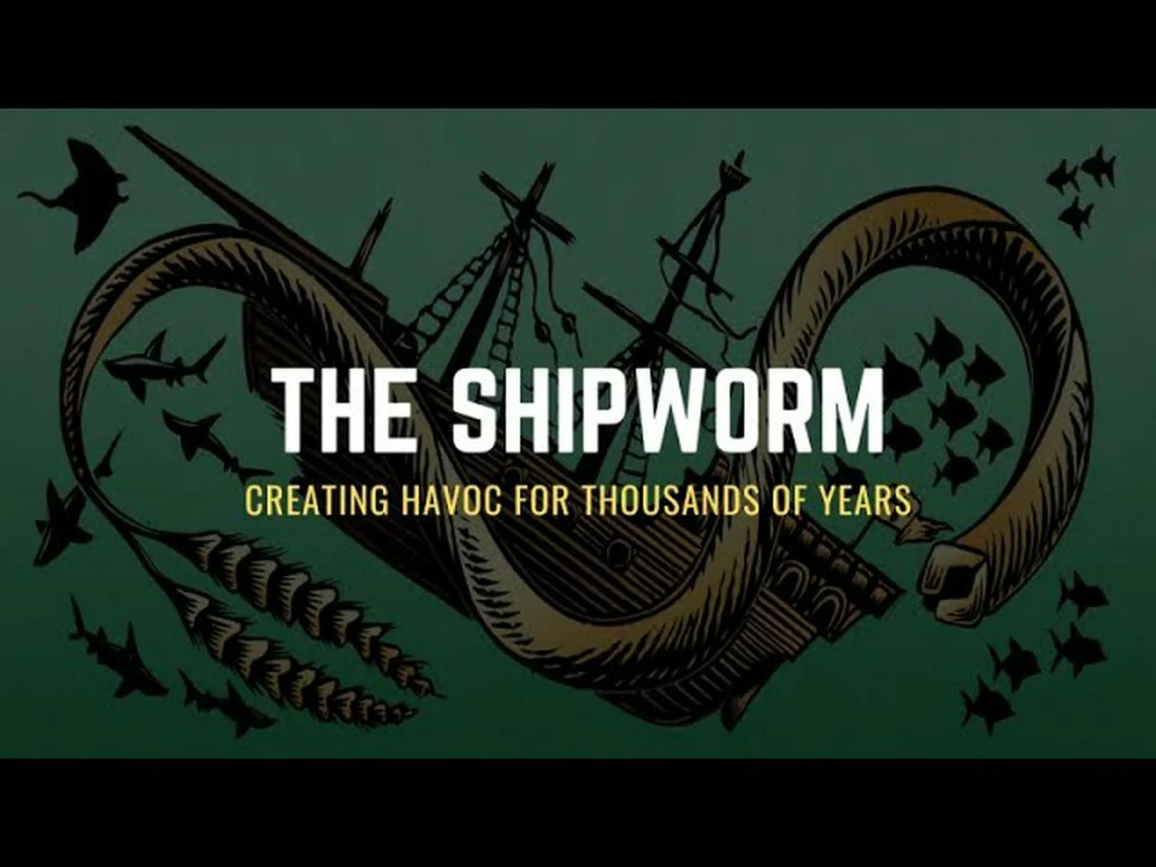 Shipworms - Quantum Shifting - A mystery to scientists