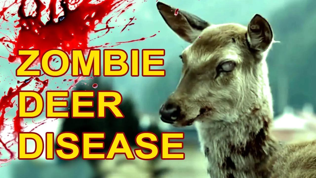 Zombie Deer Disease