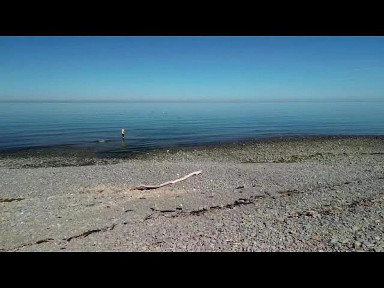 Spot the Fish! 🐟 Drone View Over the Waves – Beach Fishing Fun