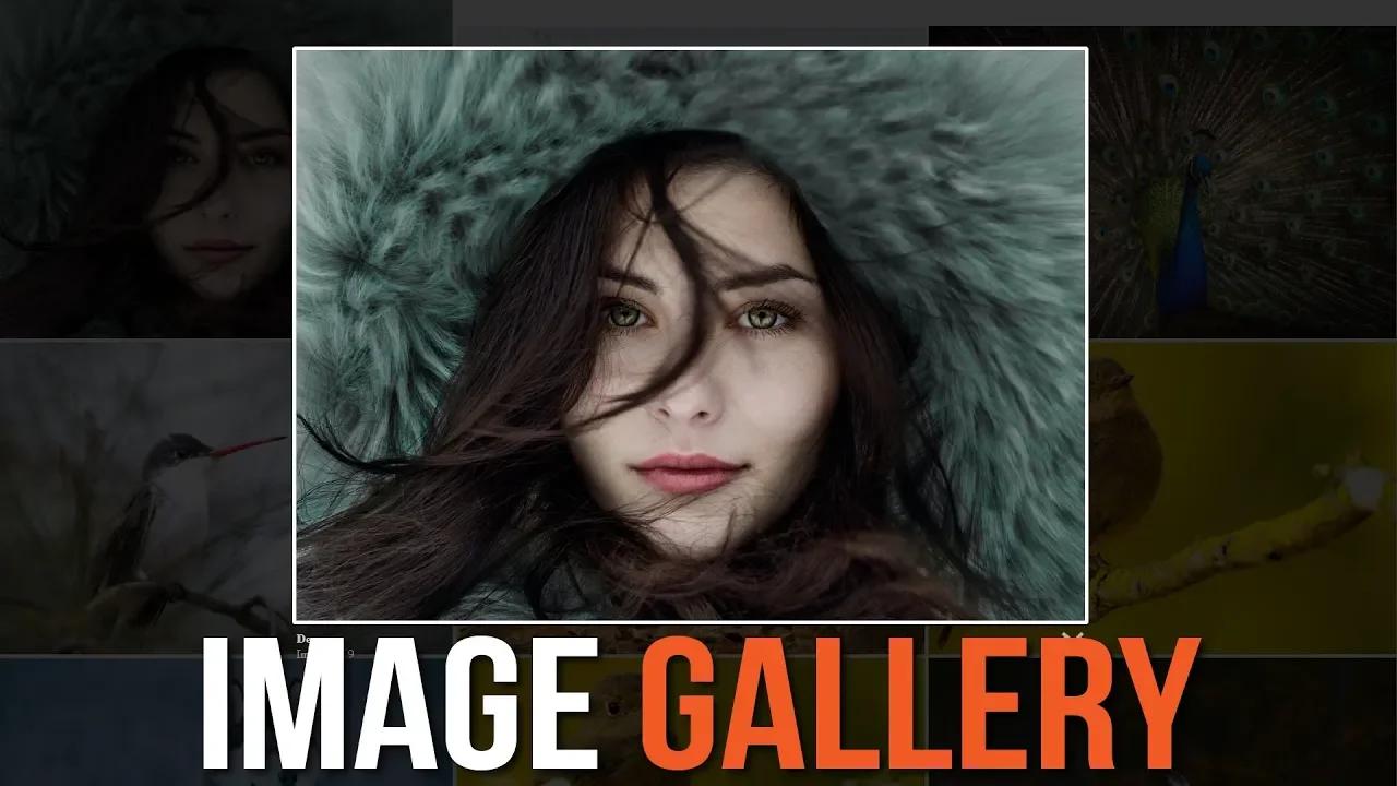 How To Create An Image Gallery With Popup Image Using HTML, CSS And JavaScript || Lightbox || Jquery