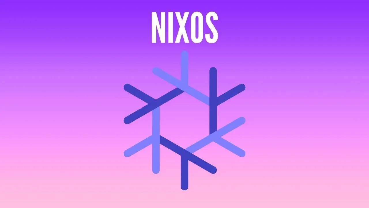 NixOS Explained