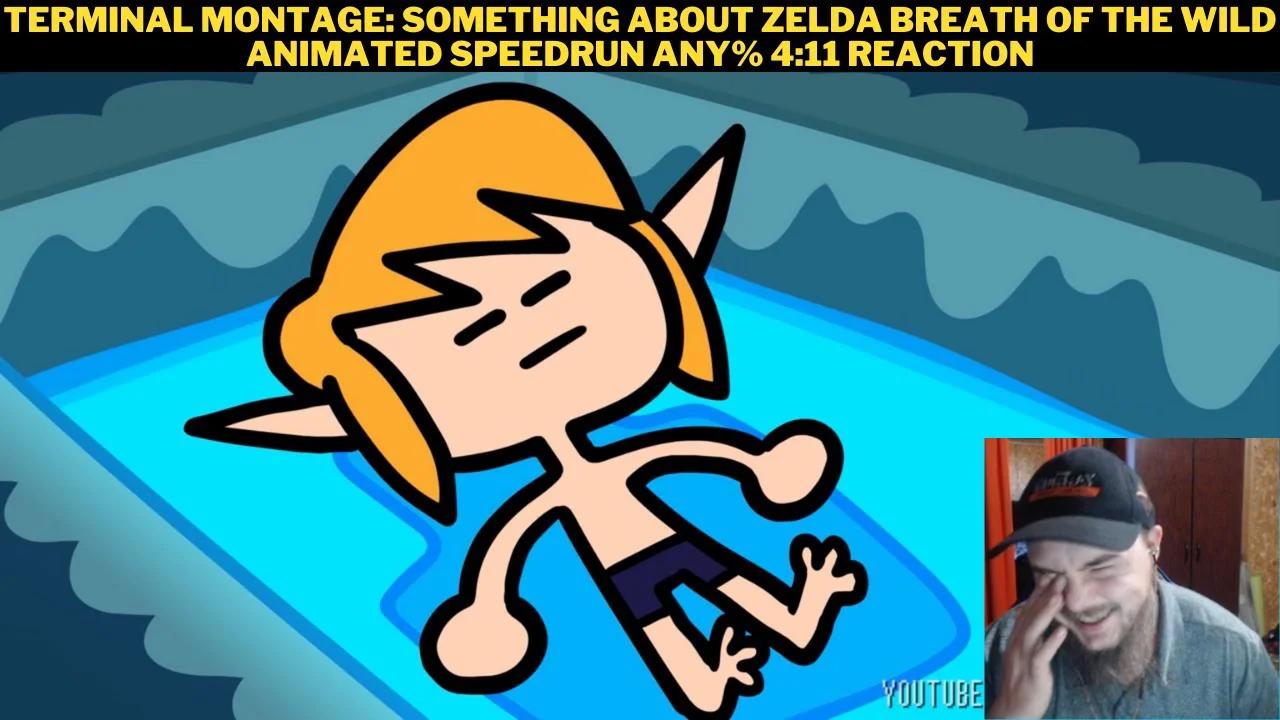 Terminal Montage: Something About Zelda Breath of the Wild Animated ...