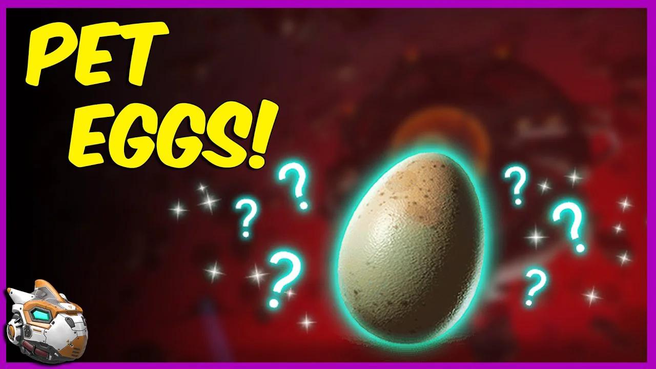 How to Get and Hatch Pet Companion Eggs | No Man's Sky Pet Companion ...