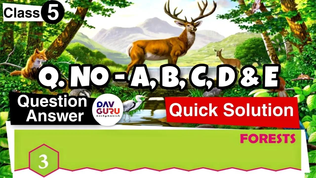 Chapter 3 | Forests | DAV Class 5 Science | Question Answer 🔥🔥🔥