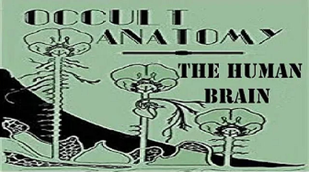 Occult Anatomy: The Human Brain By Manly P. Hall