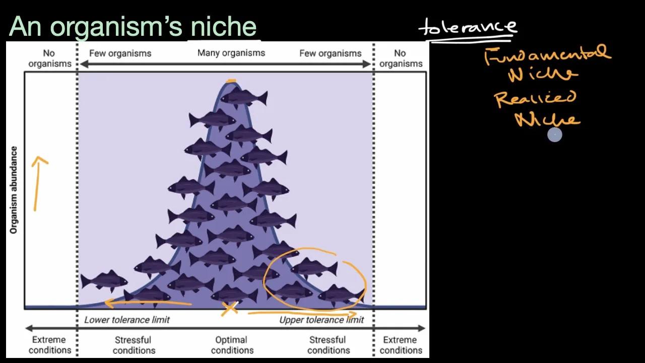 An organism's niche | Biology of the living Earth | High school biology ...