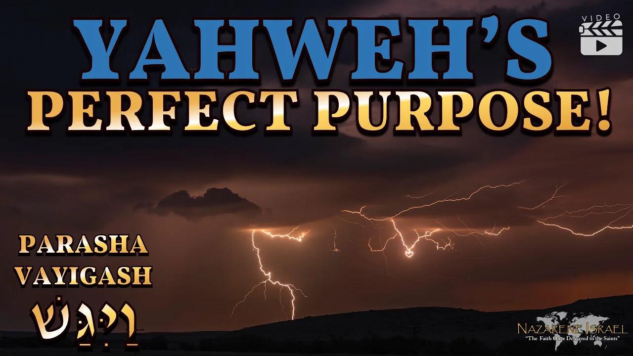 Parasha Vayigash 2023 - Yahweh's Perfect Purpose!