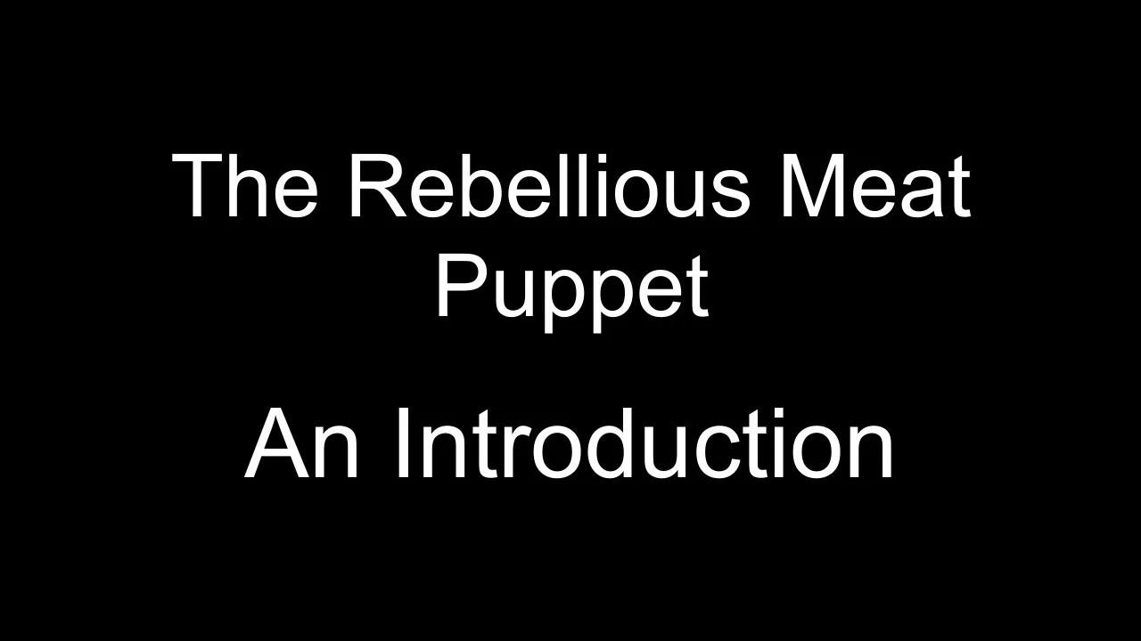 T8H presents - The Rebellious Meat Puppet